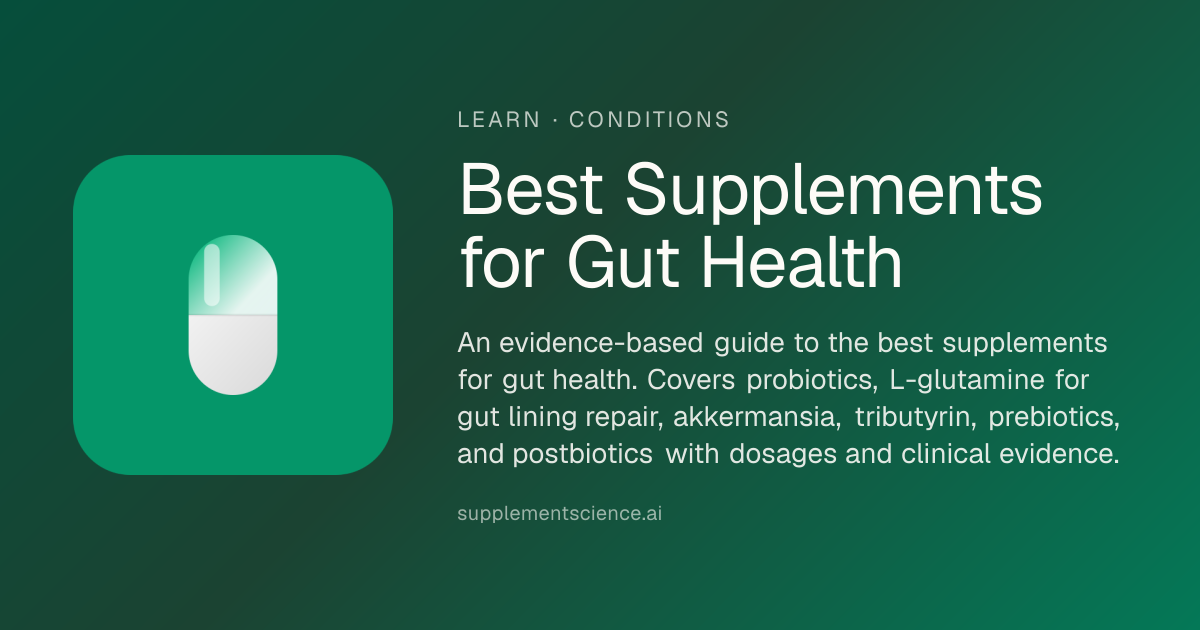 Best Supplements for Gut Health (2026)